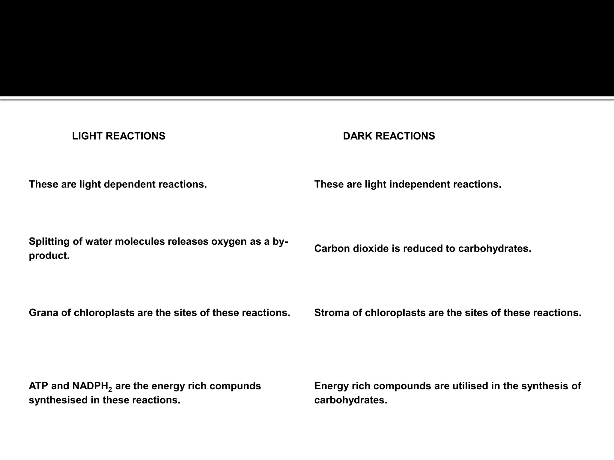 Photosynthesis class 10.pptx