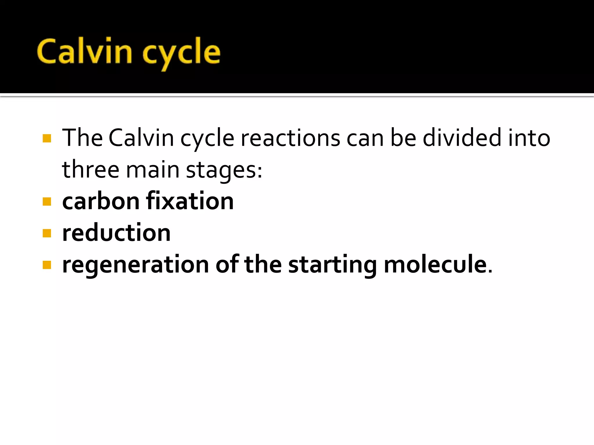 Photosynthesis class 10.pptx