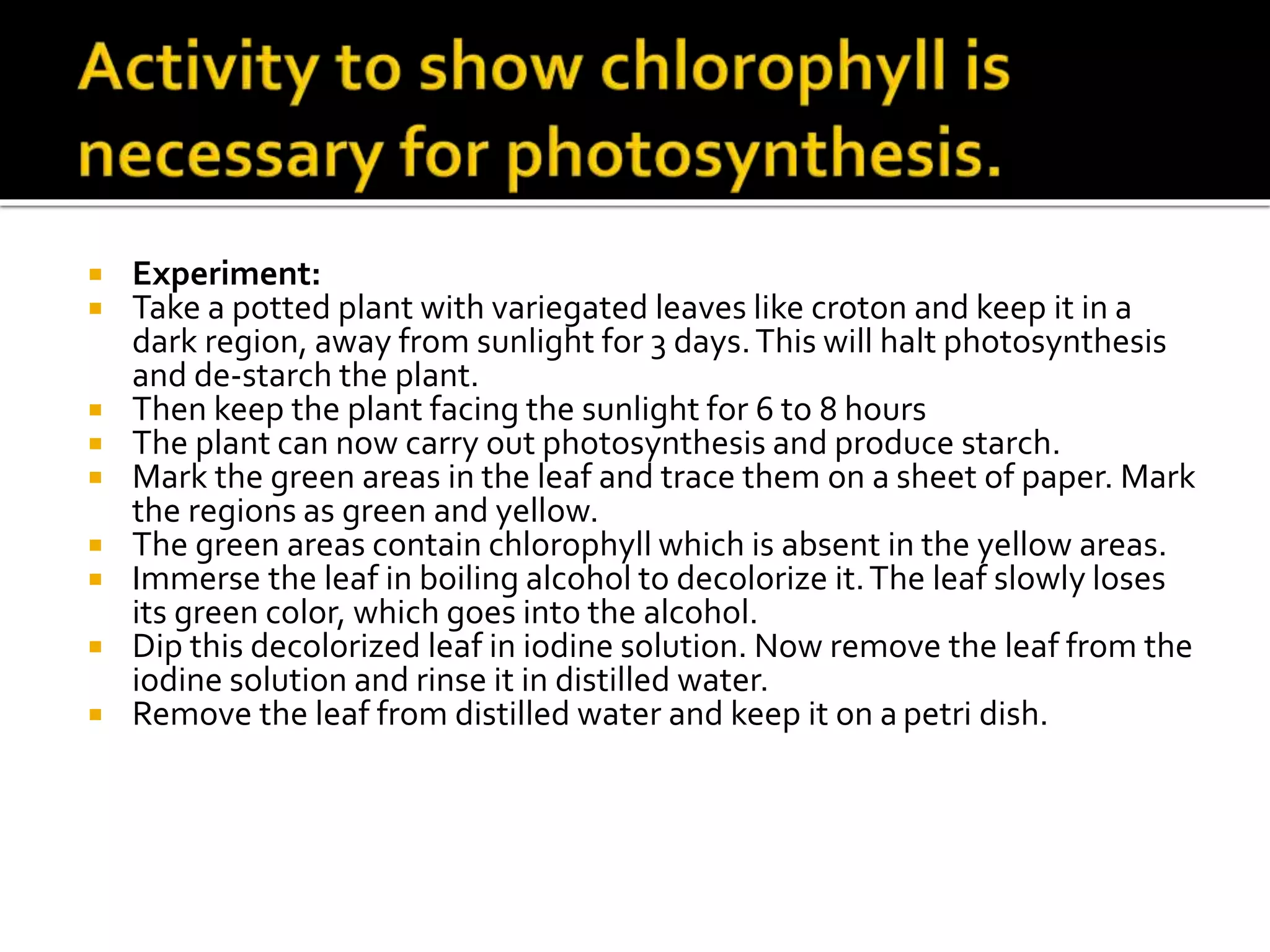 Photosynthesis class 10.pptx