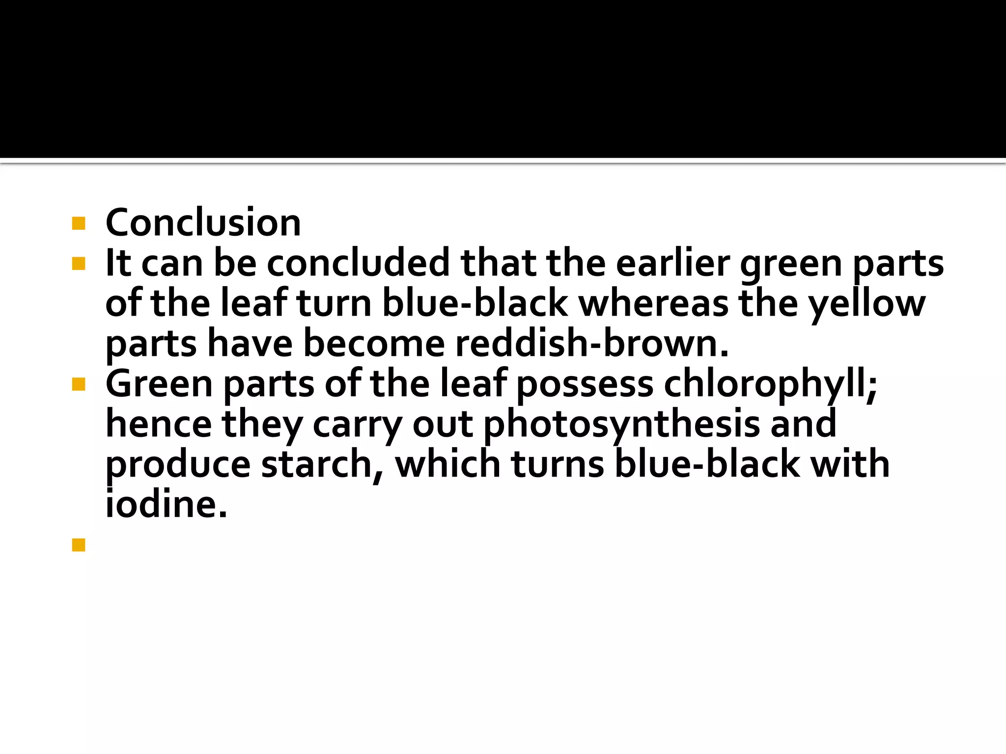 Photosynthesis class 10.pptx