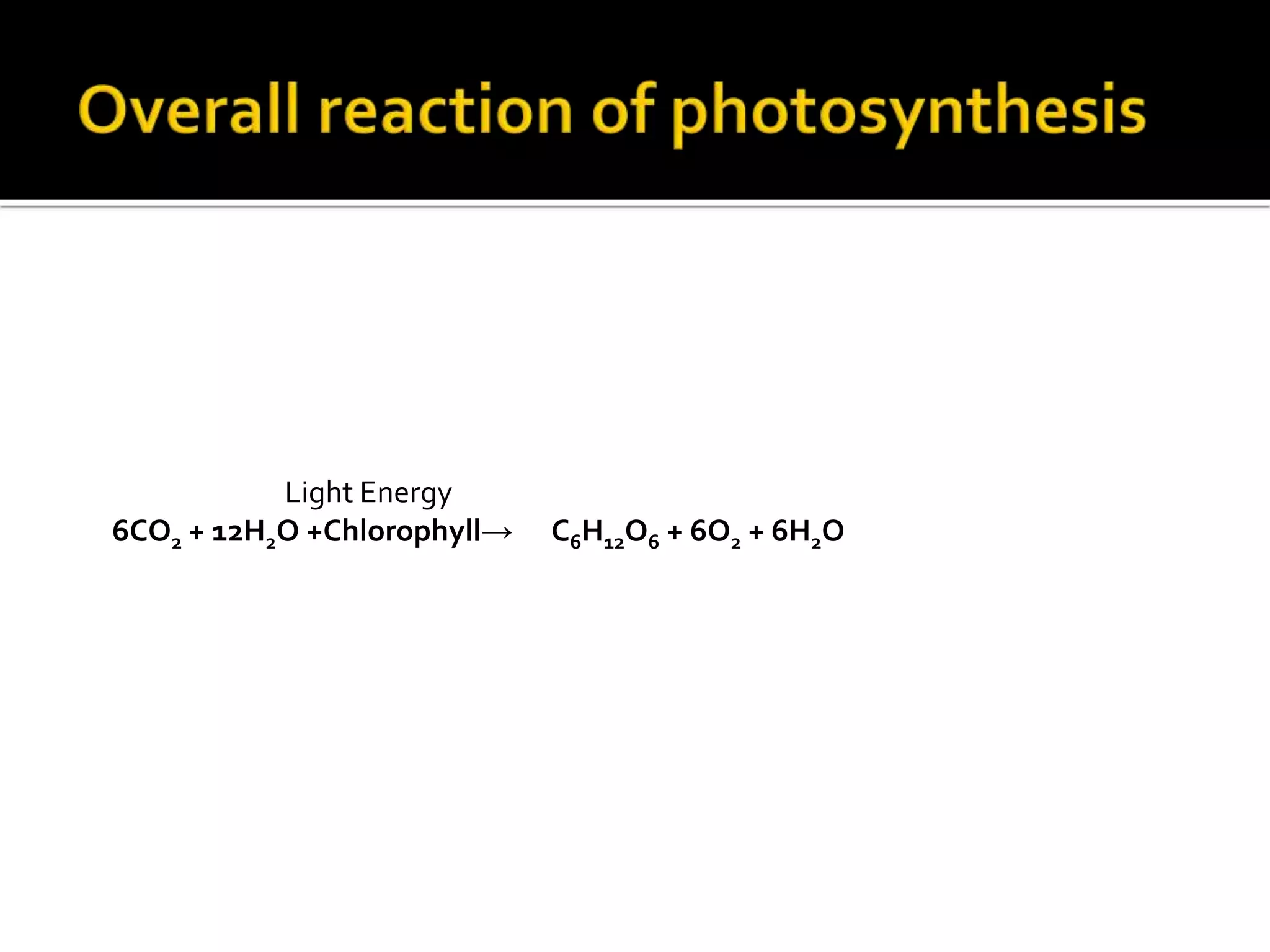 Photosynthesis class 10.pptx