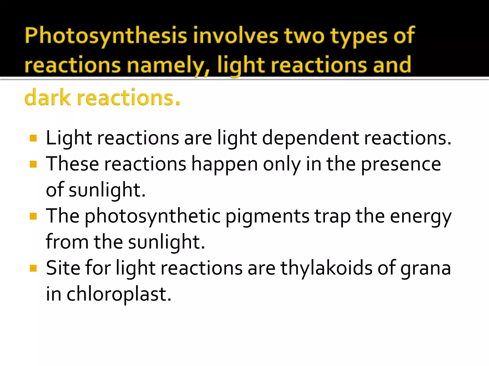 Photosynthesis class 10.pptx