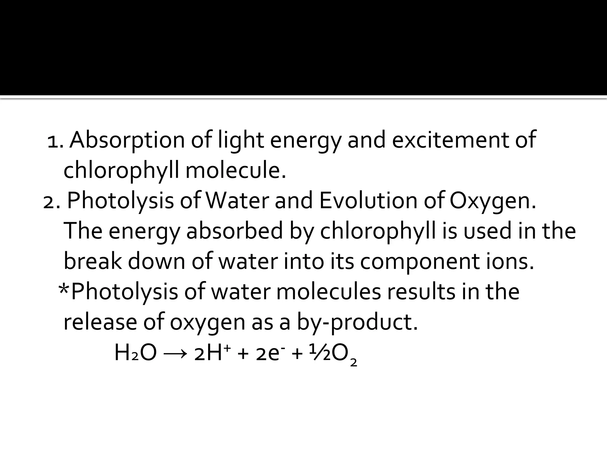 Photosynthesis class 10.pptx