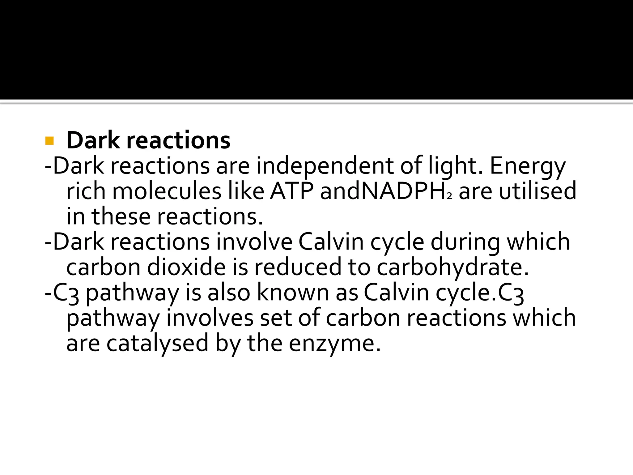 Photosynthesis class 10.pptx
