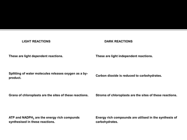 Photosynthesis class 10.pptx | Chemistry | Science