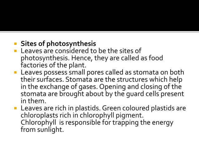 Photosynthesis class 10.pptx | Chemistry | Science