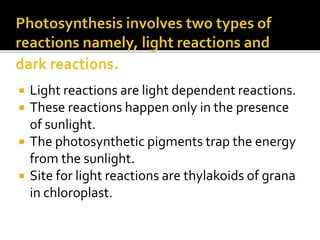 Photosynthesis class 10.pptx