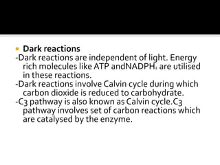 Photosynthesis class 10.pptx