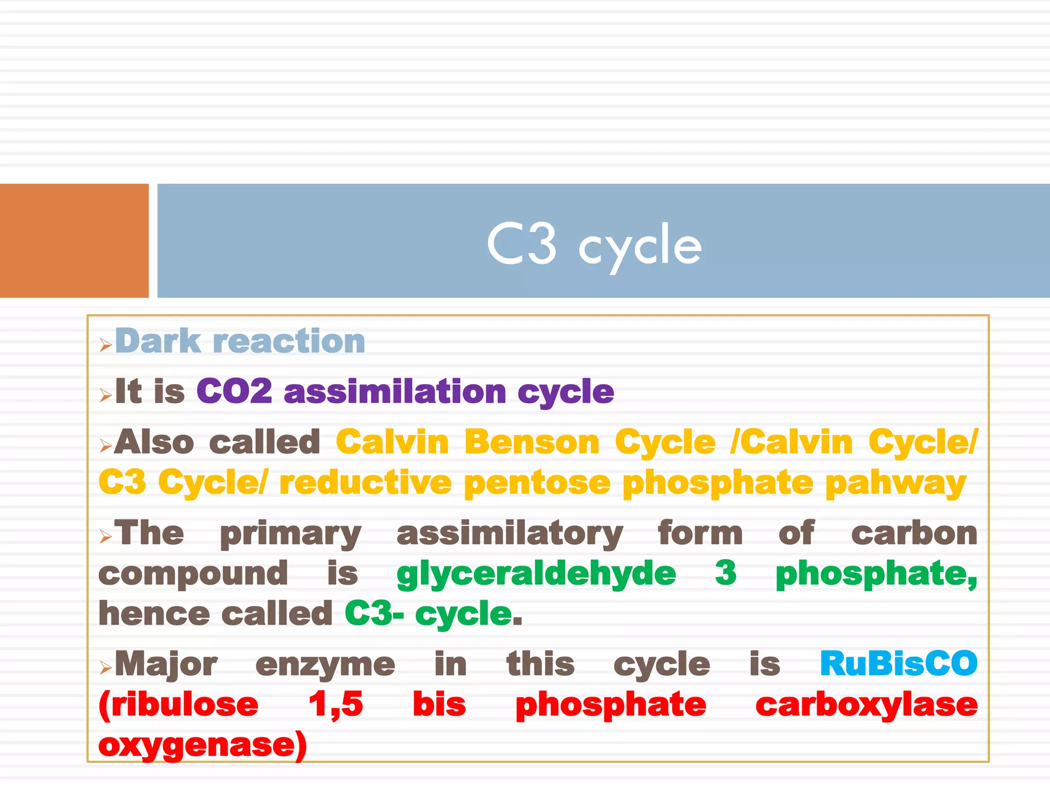 Photosynthesis (dark reaction) | PDF
