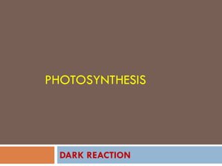 Photosynthesis (dark reaction) | PDF