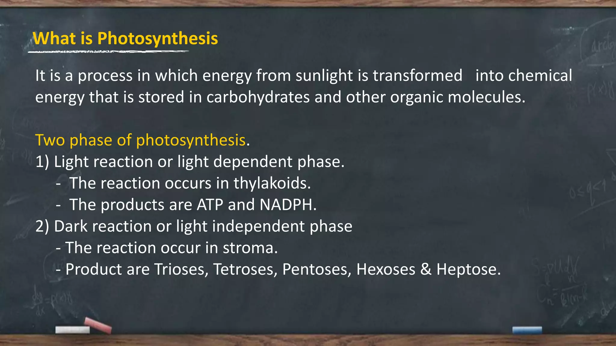 Photosynthesis dark reaction | PPTX