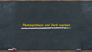 Photosynthesis dark reaction | PPTX