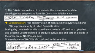 Photosynthesis dark reaction | PPTX