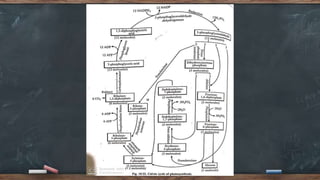 Photosynthesis dark reaction | PPTX