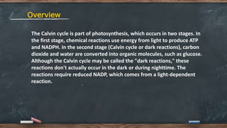 Photosynthesis dark reaction | PPTX