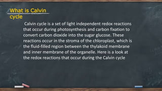 Photosynthesis dark reaction | PPTX