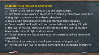 Photosynthesis dark reaction | PPTX