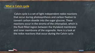 Photosynthesis dark reaction | PPTX