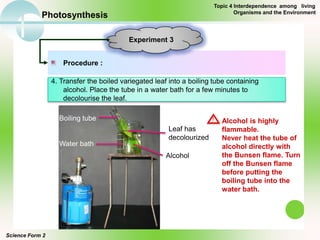 Photosynthesis english version ( science form 2) | PPTX
