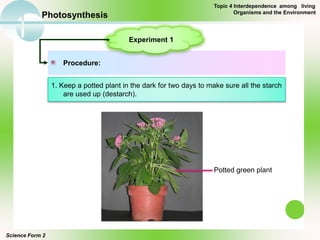 Photosynthesis english version ( science form 2) | PPT