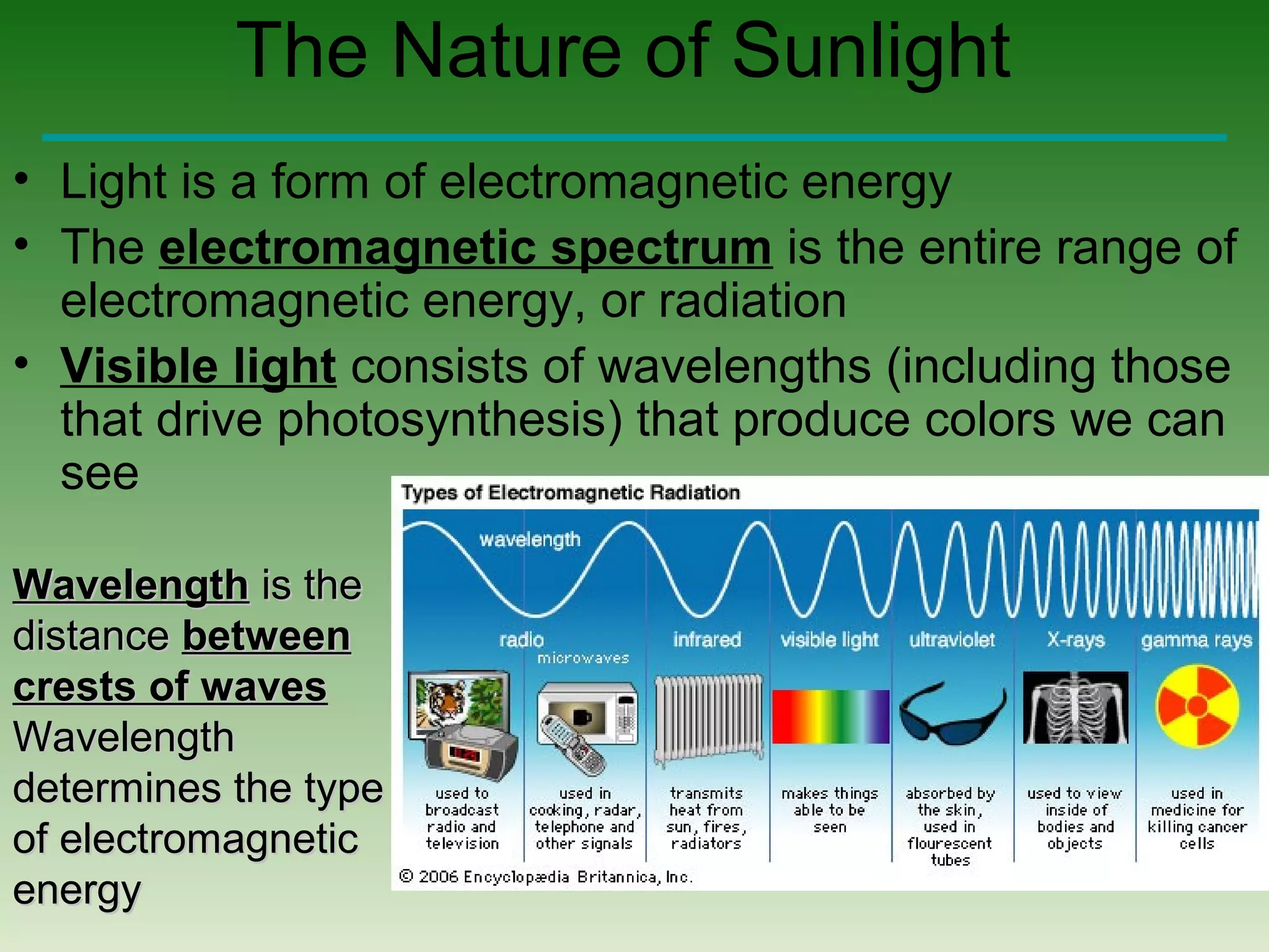 Photosynthesis equation honors | PPT