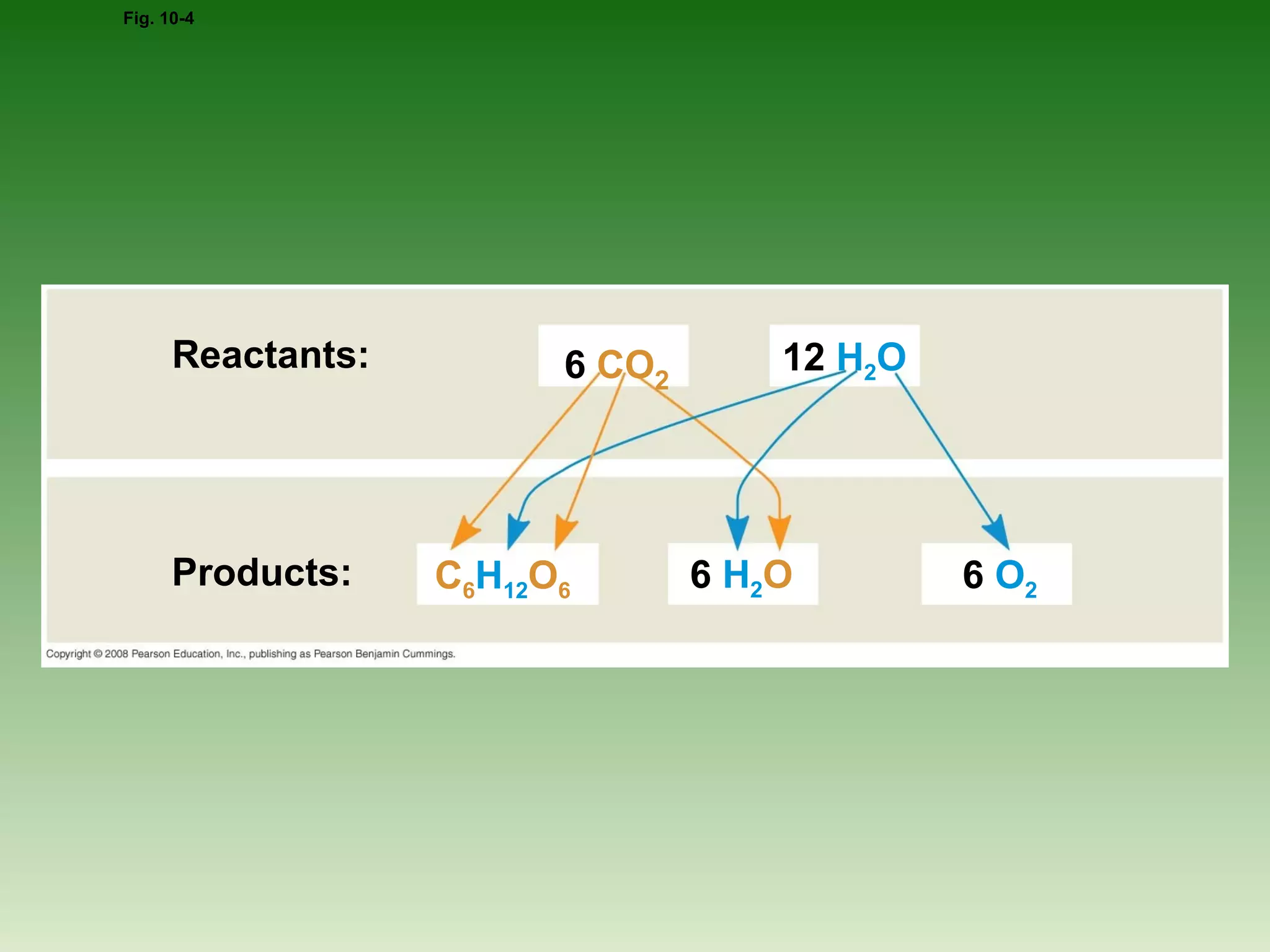 Photosynthesis equation honors | PPT