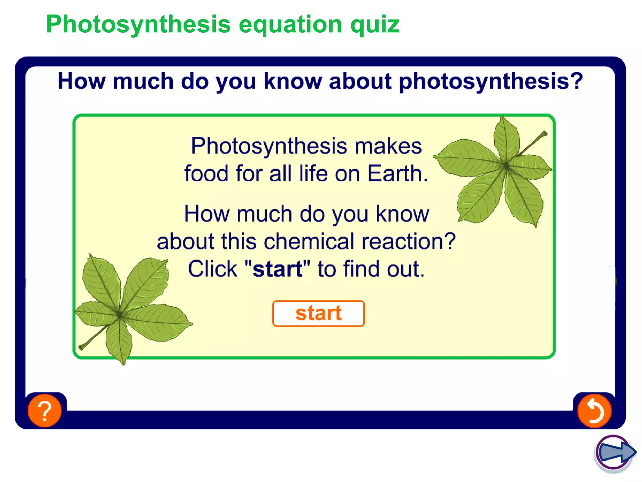Photosynthesis equation quiz | PPTX | Biological Sciences | Science