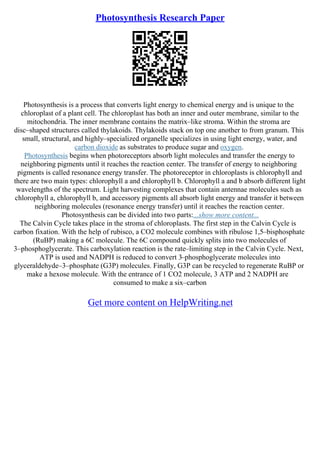 Photosynthesis Essay | PDF | Food & Drink