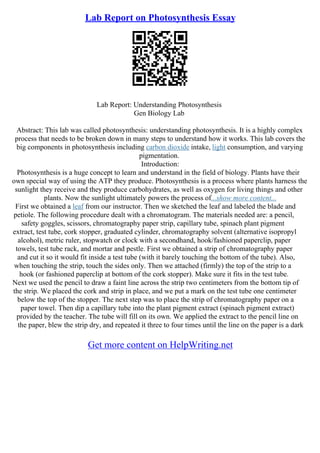 Photosynthesis Essay | PDF