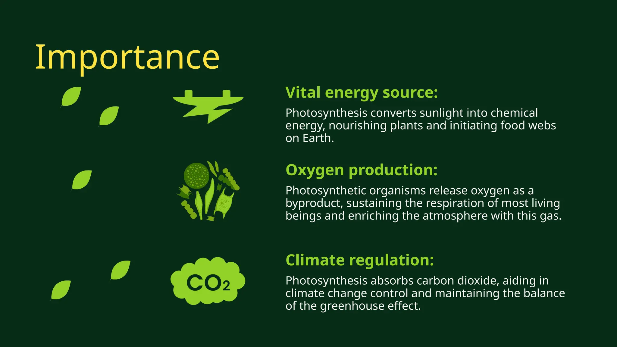 photosynthesis processes FOR RECCLA.pptx
