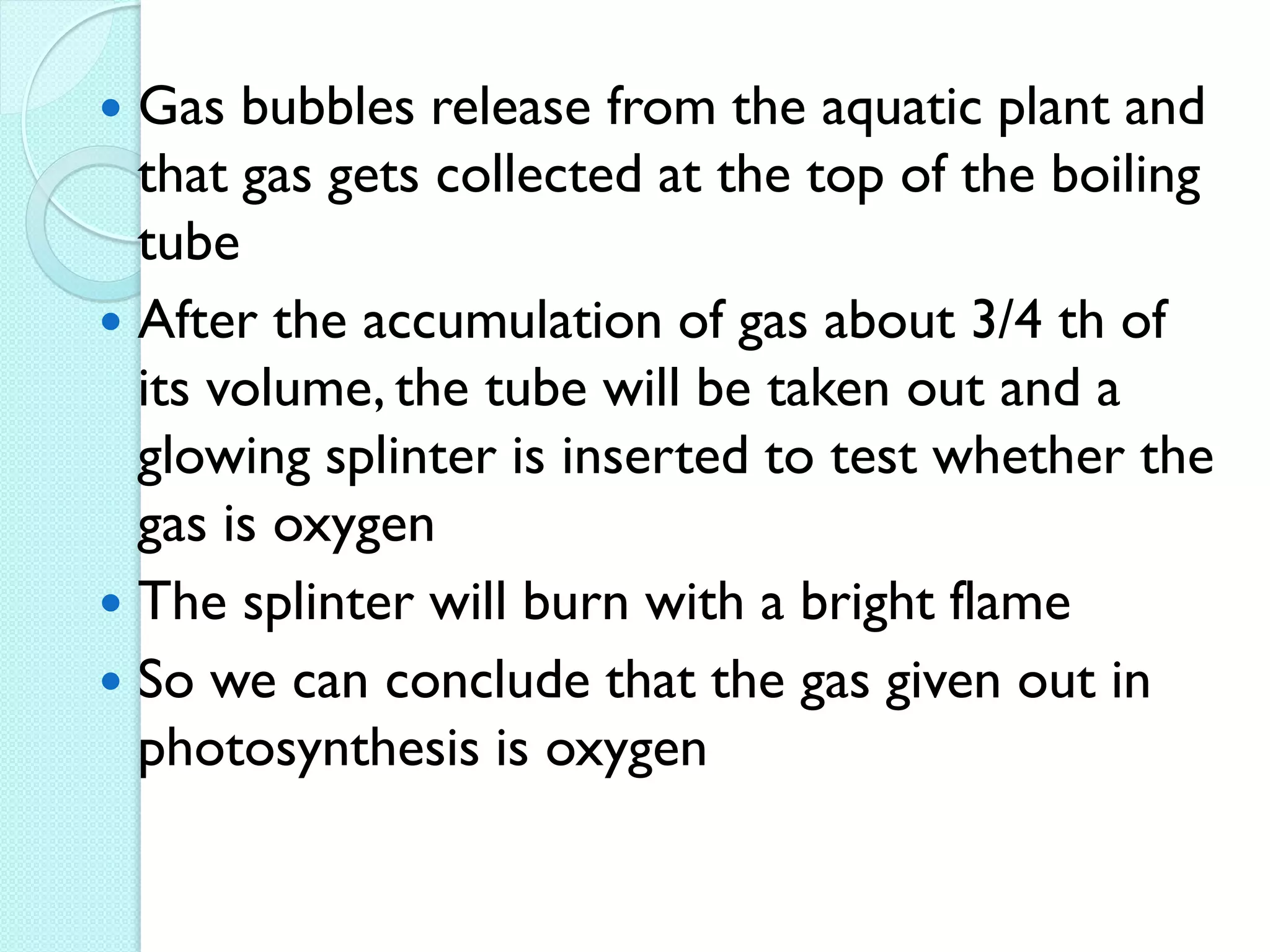 Photosynthesis by Ms.Wong GCE O/L Gr10 | PDF