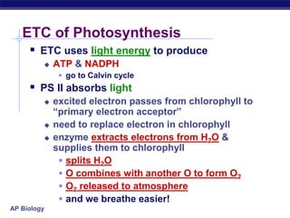 photosynthesis honors 14.ppt