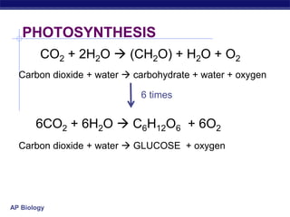photosynthesis honors 14.ppt