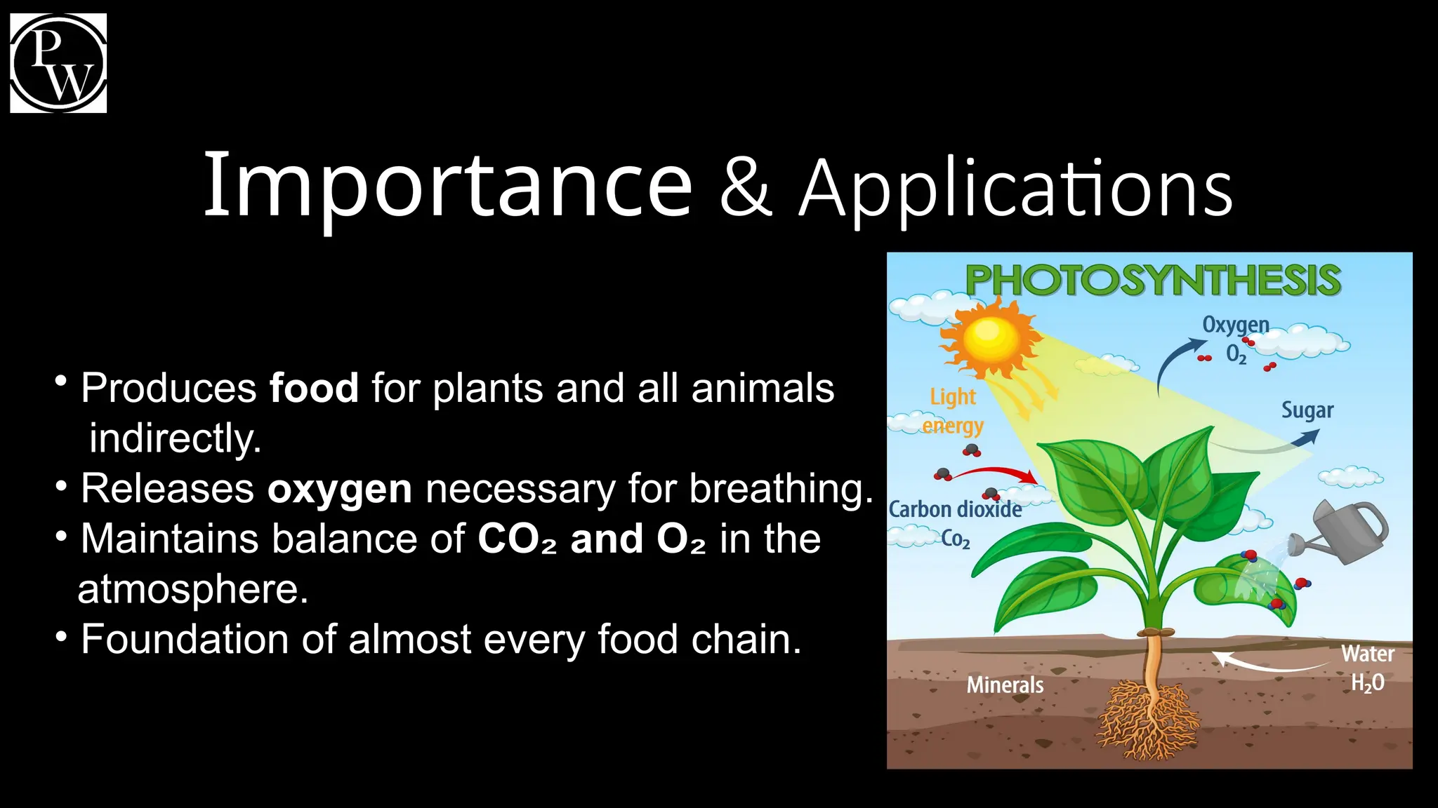 Photosynthesis – How Plants Make Their Food.pptx