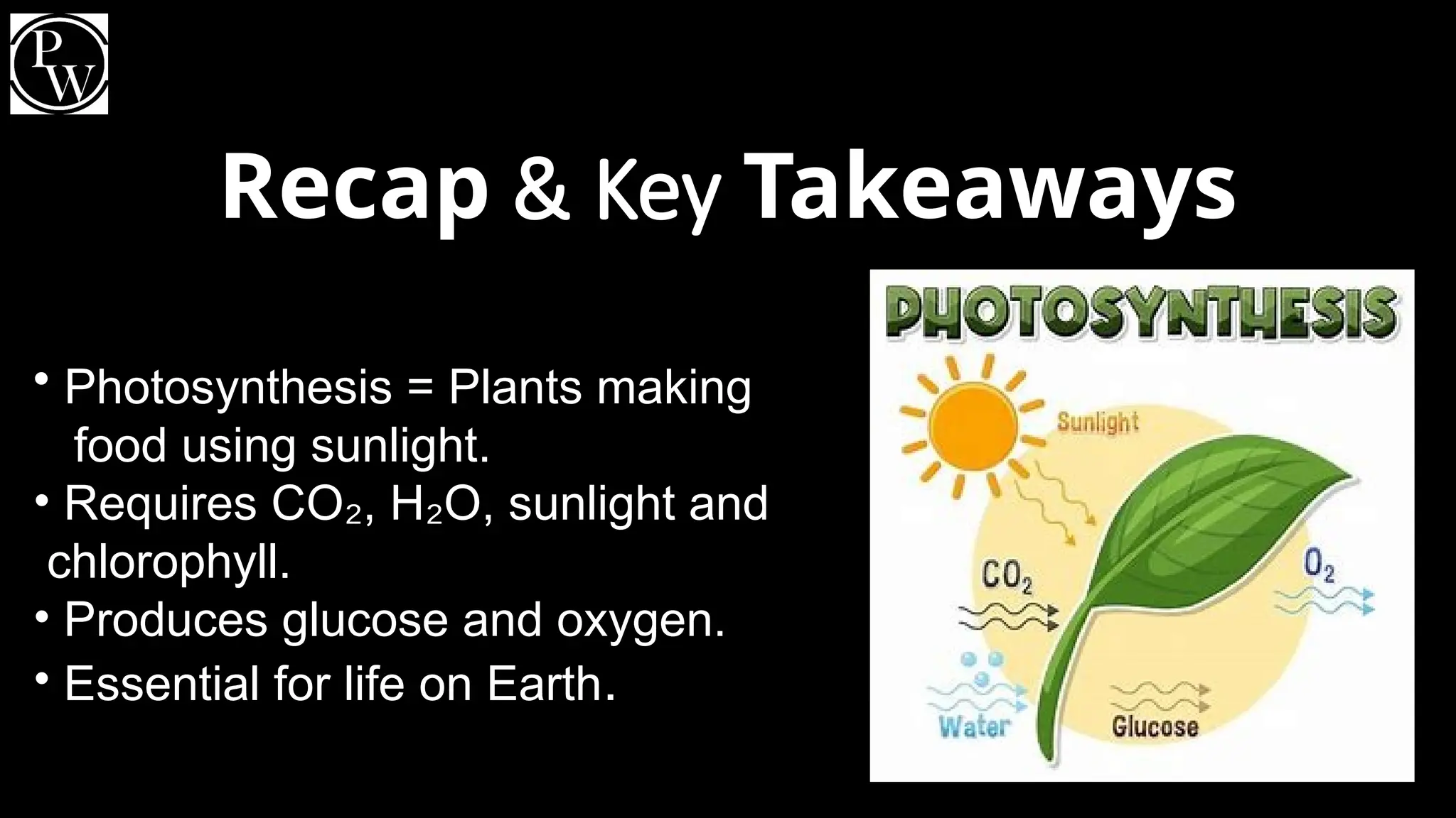Photosynthesis – How Plants Make Their Food.pptx