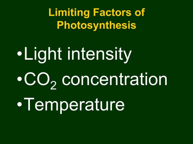 PHOTOSYNTHESIS - IB | PPT