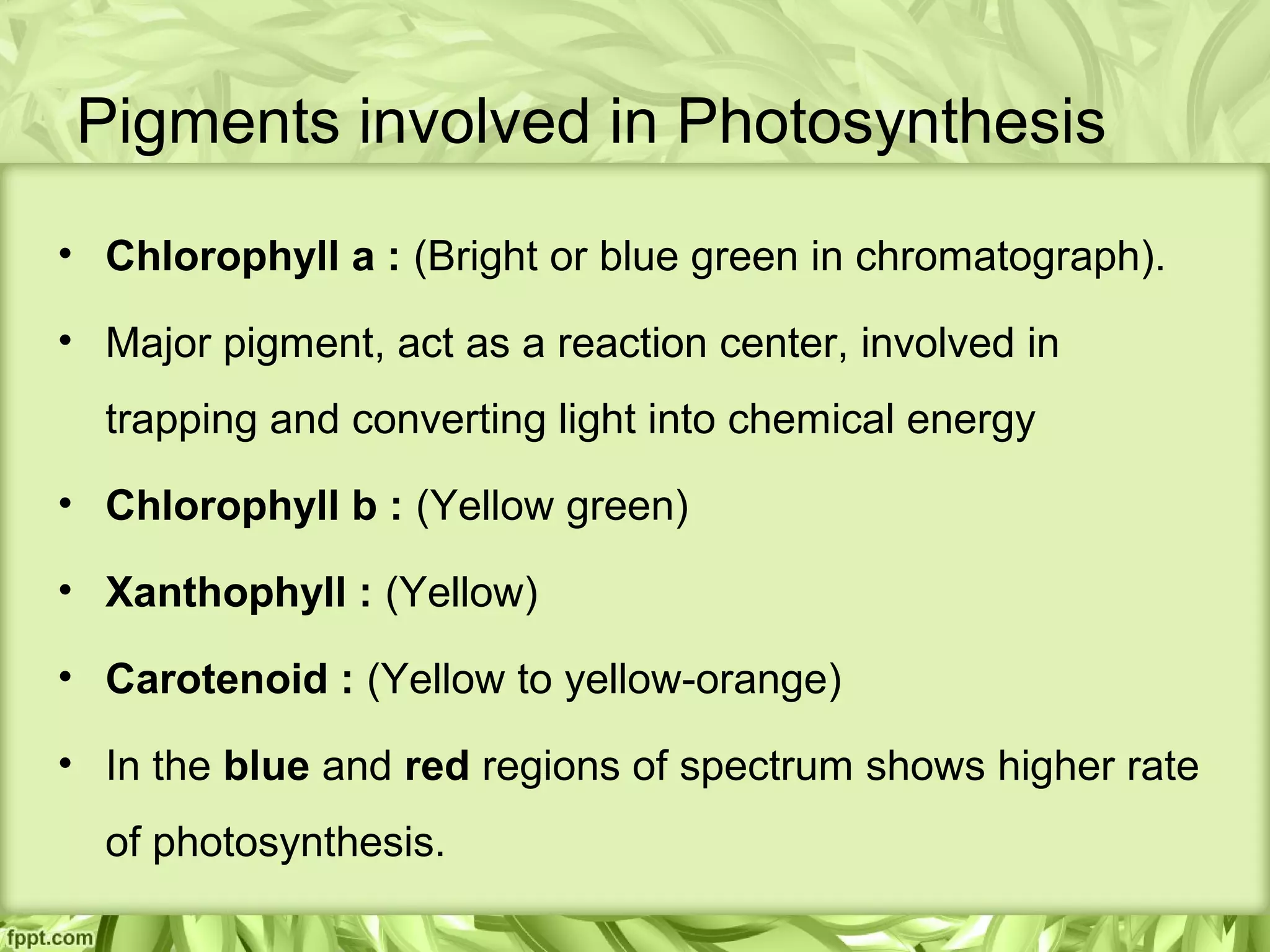 Photosynthesis in higher plants | PPT