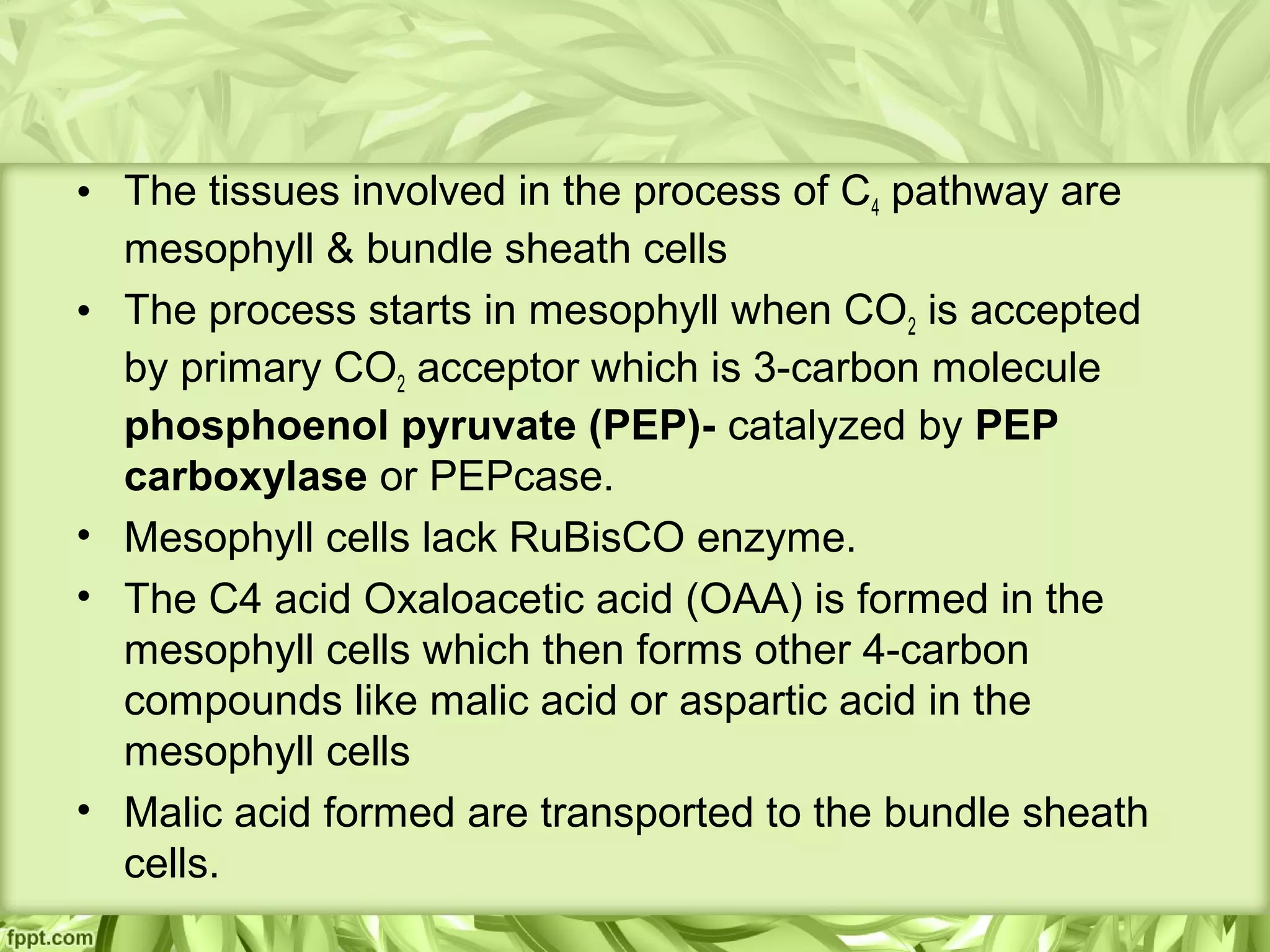 Photosynthesis in higher plants | PPT