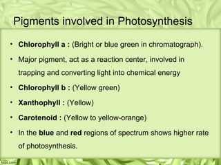 Photosynthesis in higher plants | PPT