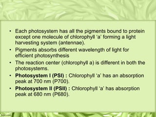Photosynthesis in higher plants | PPT