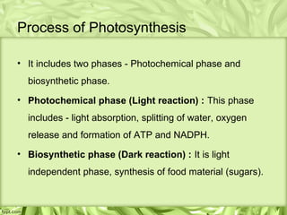 Photosynthesis in higher plants | PPT