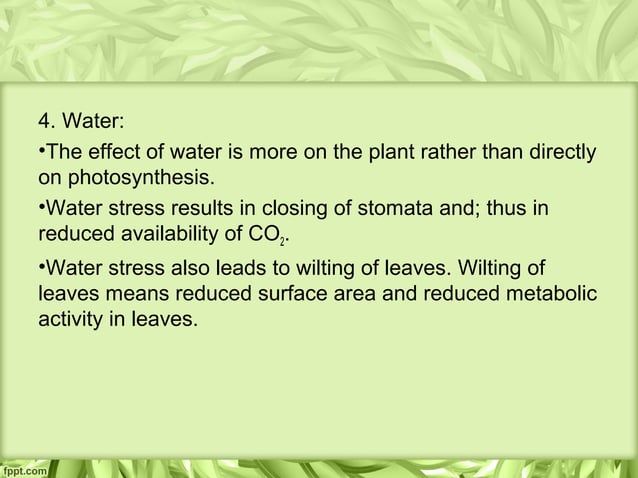 Photosynthesis in higher plants | PPT