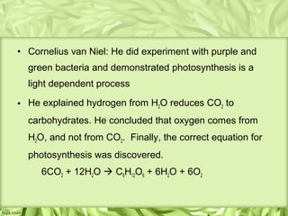 Photosynthesis in higher plants | PPT