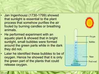 Jan Ingenhousz Experiment