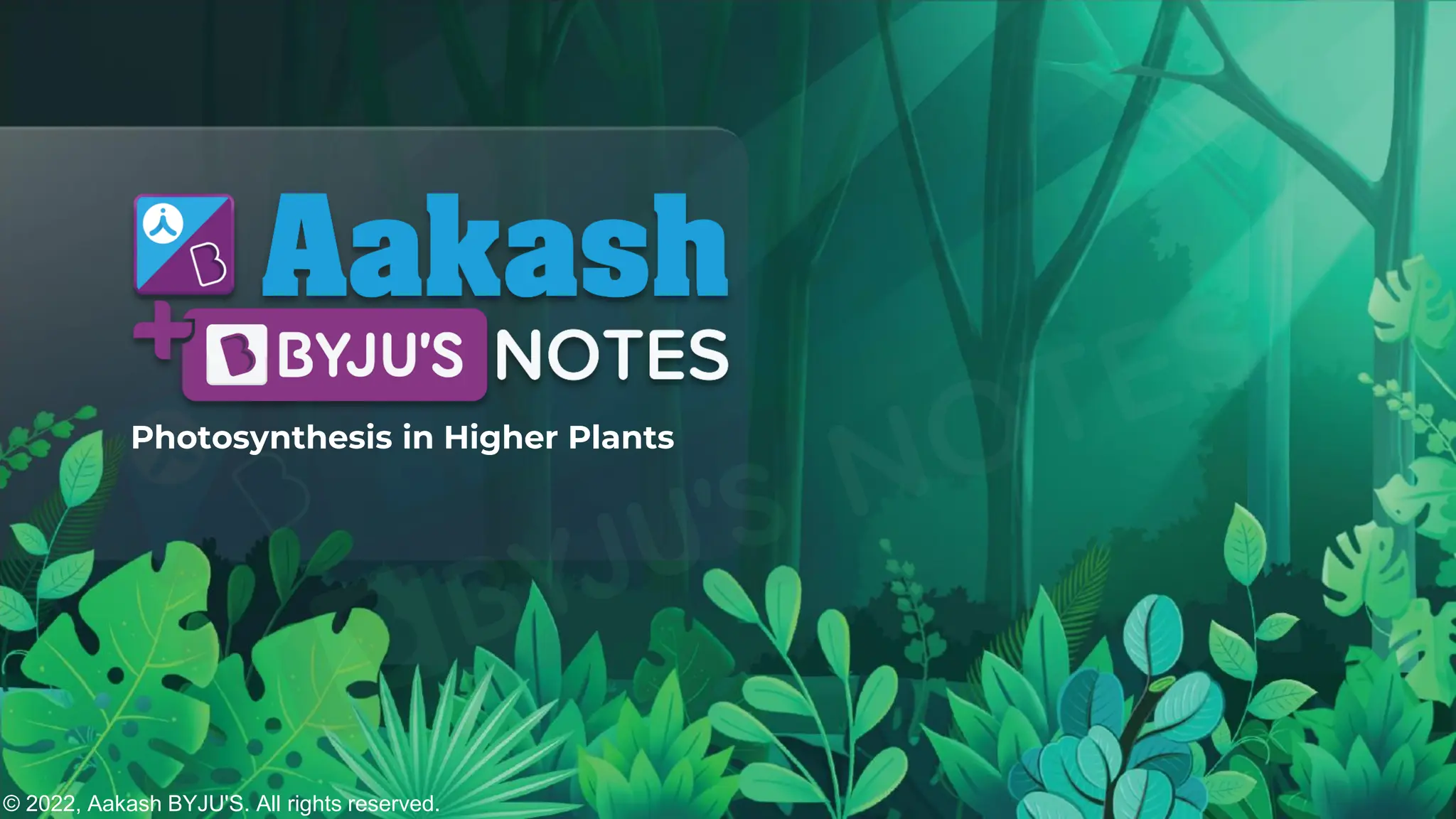 Photosynthesis in Higher Plants aakash byjus.pdf