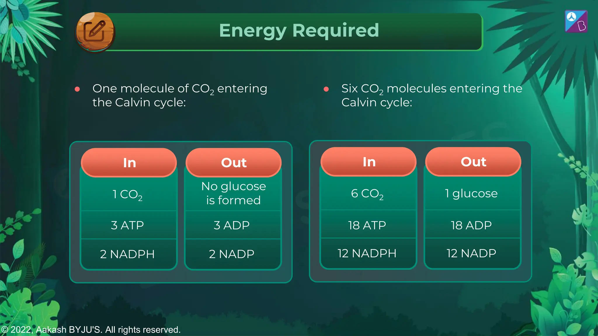 Photosynthesis in Higher Plants aakash byjus.pdf