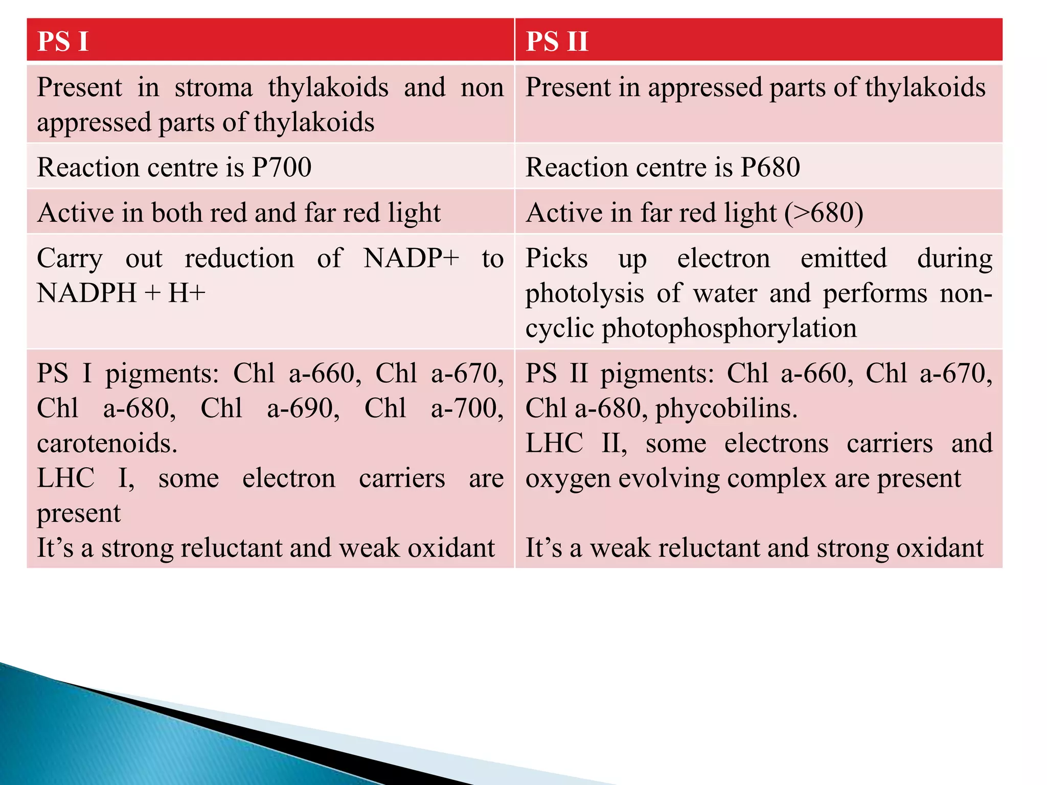 Photosynthesis in plants | PPTX