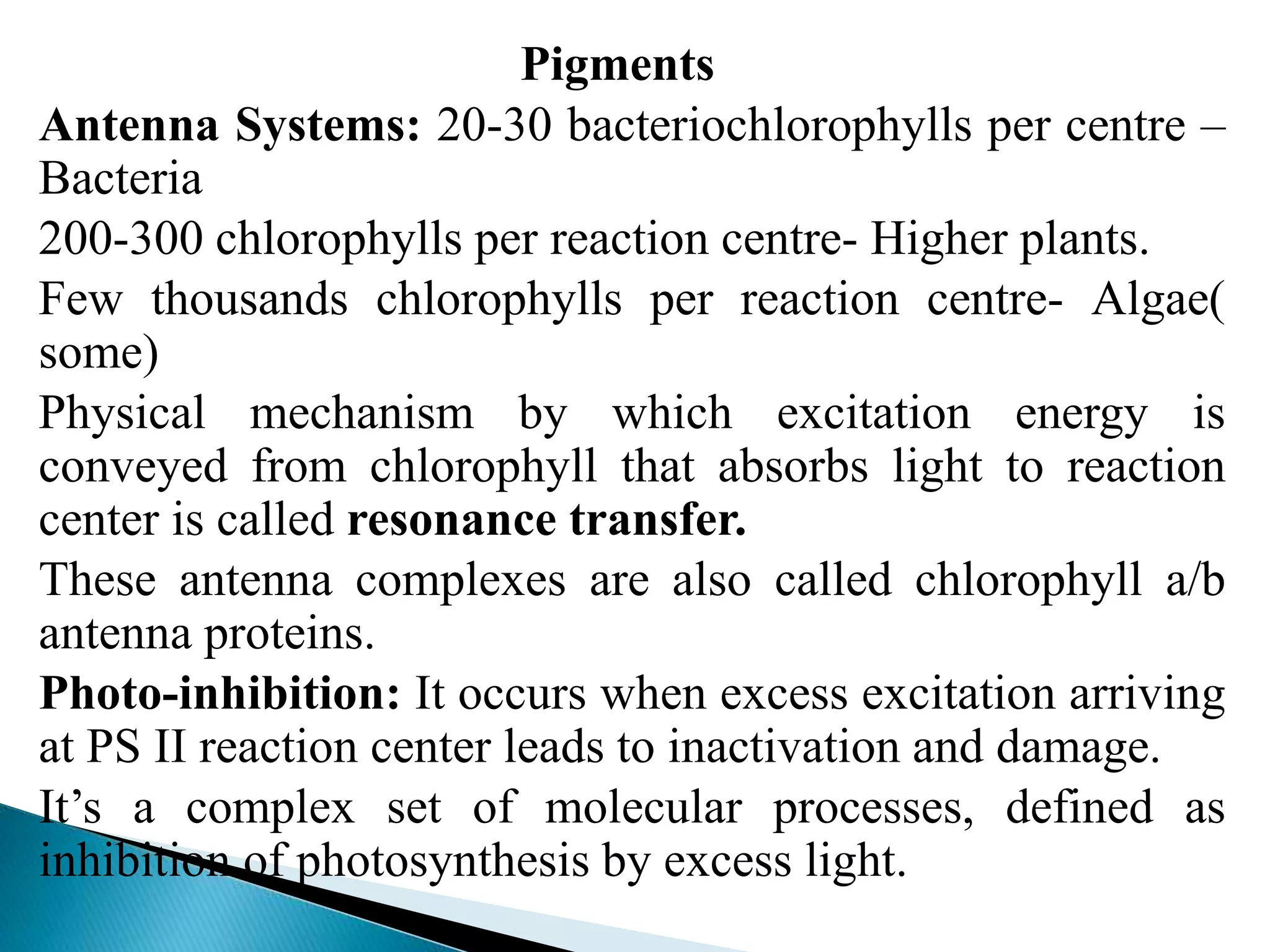 Photosynthesis in plants | PPTX