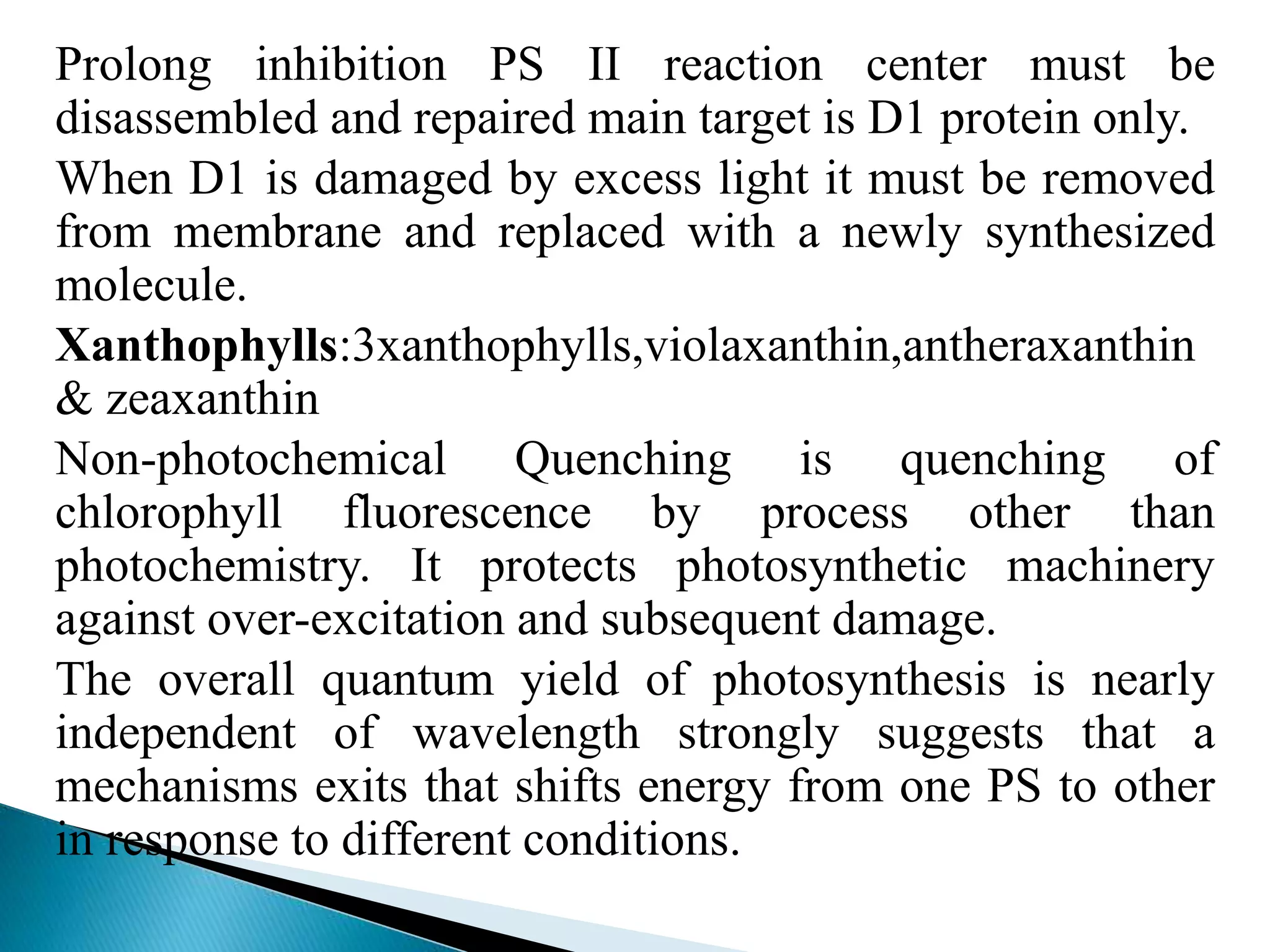 Photosynthesis in plants | PPTX