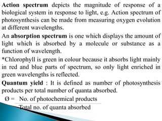 Photosynthesis in plants | PPTX